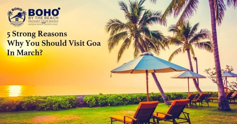 5 Strong Reasons Why You Should Visit Goa In March?